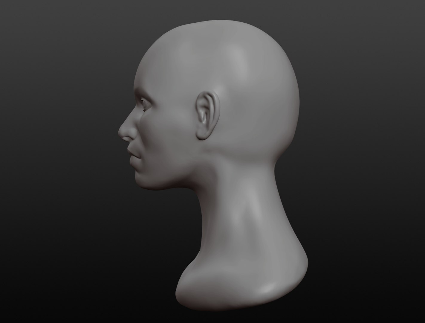 Female Head Base Mesh 3D Model - TurboSquid 1625906