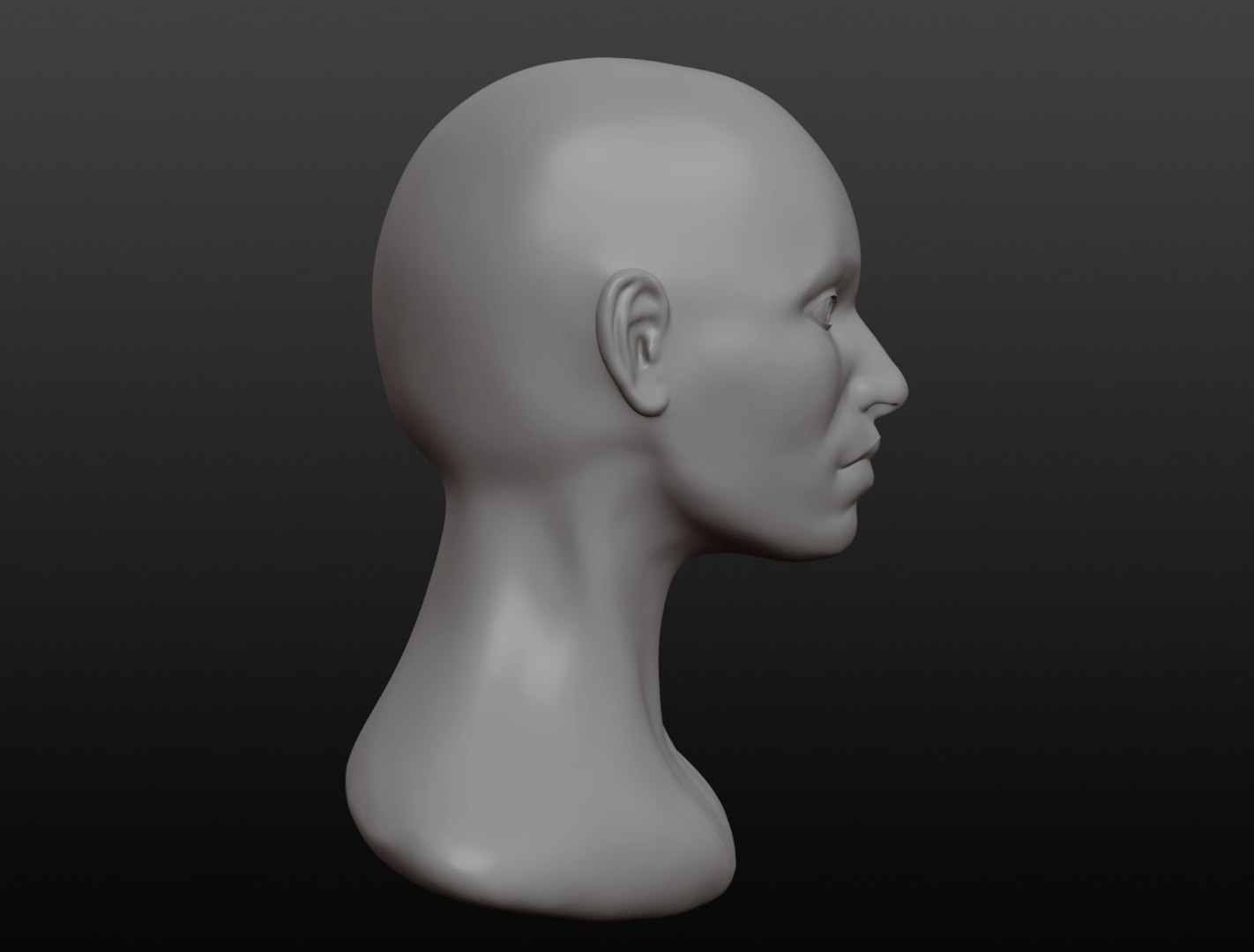 Female Head Base Mesh 3D Model - TurboSquid 1625906