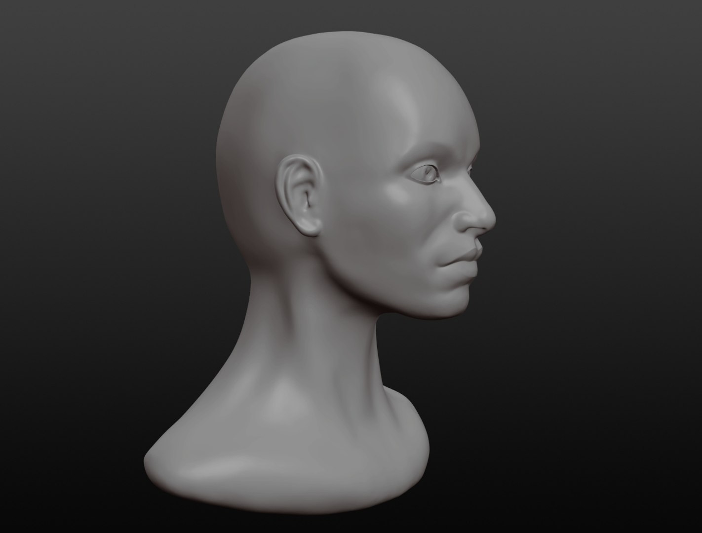 Female Head Base Mesh 3D Model - TurboSquid 1625906
