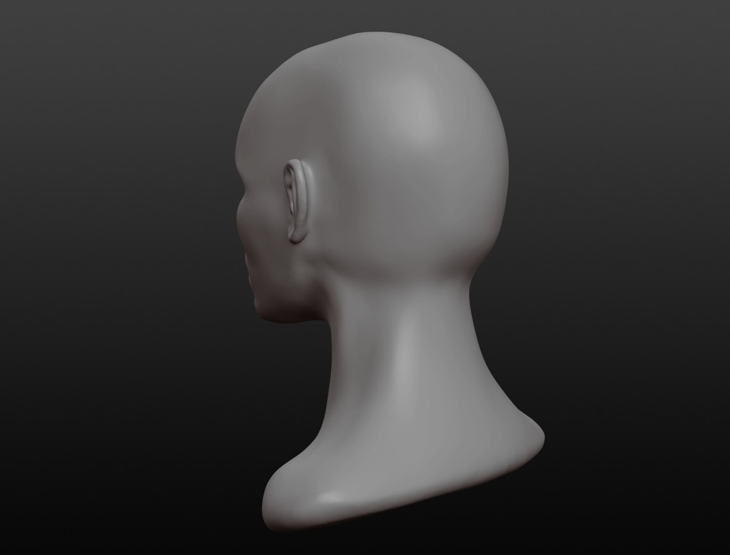 Female Head Base Mesh 3D Model - TurboSquid 1625906