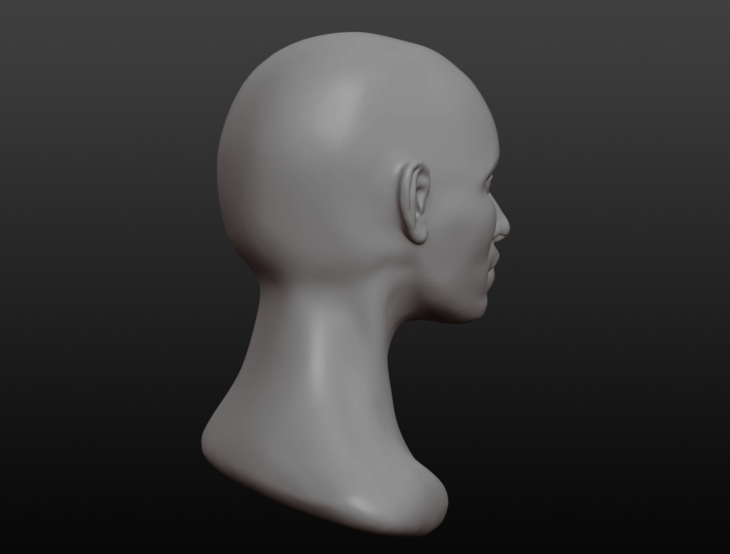 Female Head Base Mesh 3D Model - TurboSquid 1625906