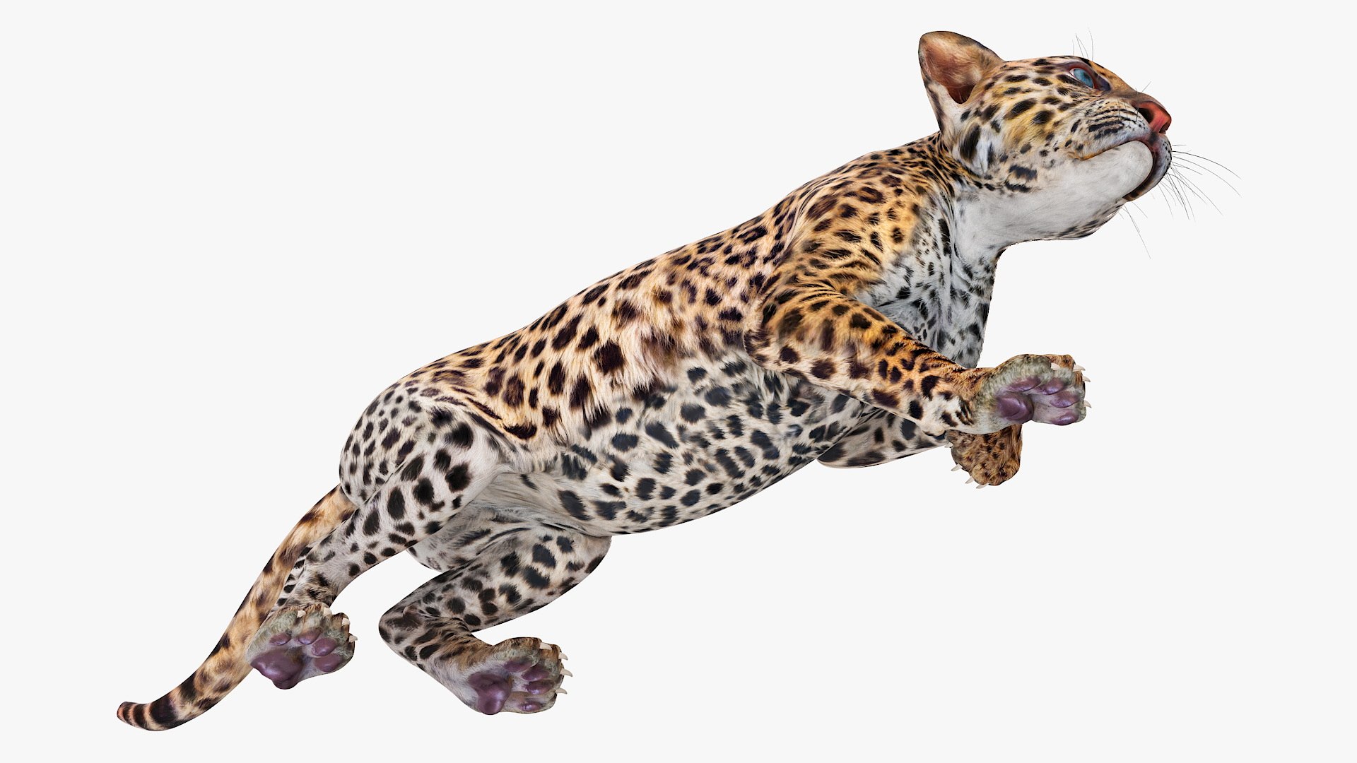 Leopard Cub Sneaking Pose 3D Model - TurboSquid 2335564