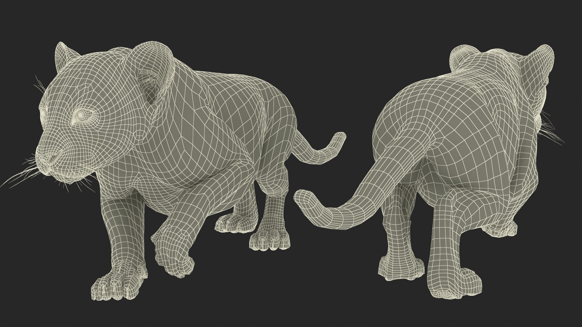 Leopard Cub Sneaking Pose 3D Model - TurboSquid 2335564