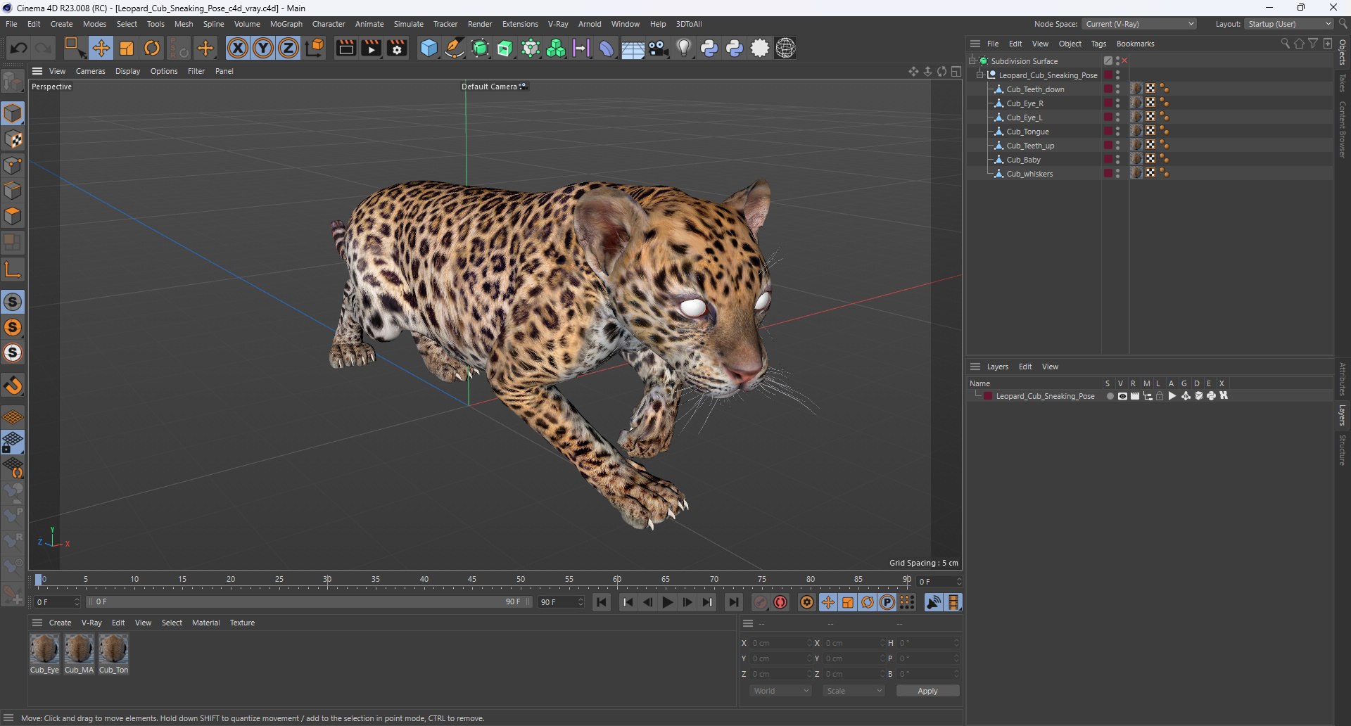 Leopard Cub Sneaking Pose 3D Model - TurboSquid 2335564