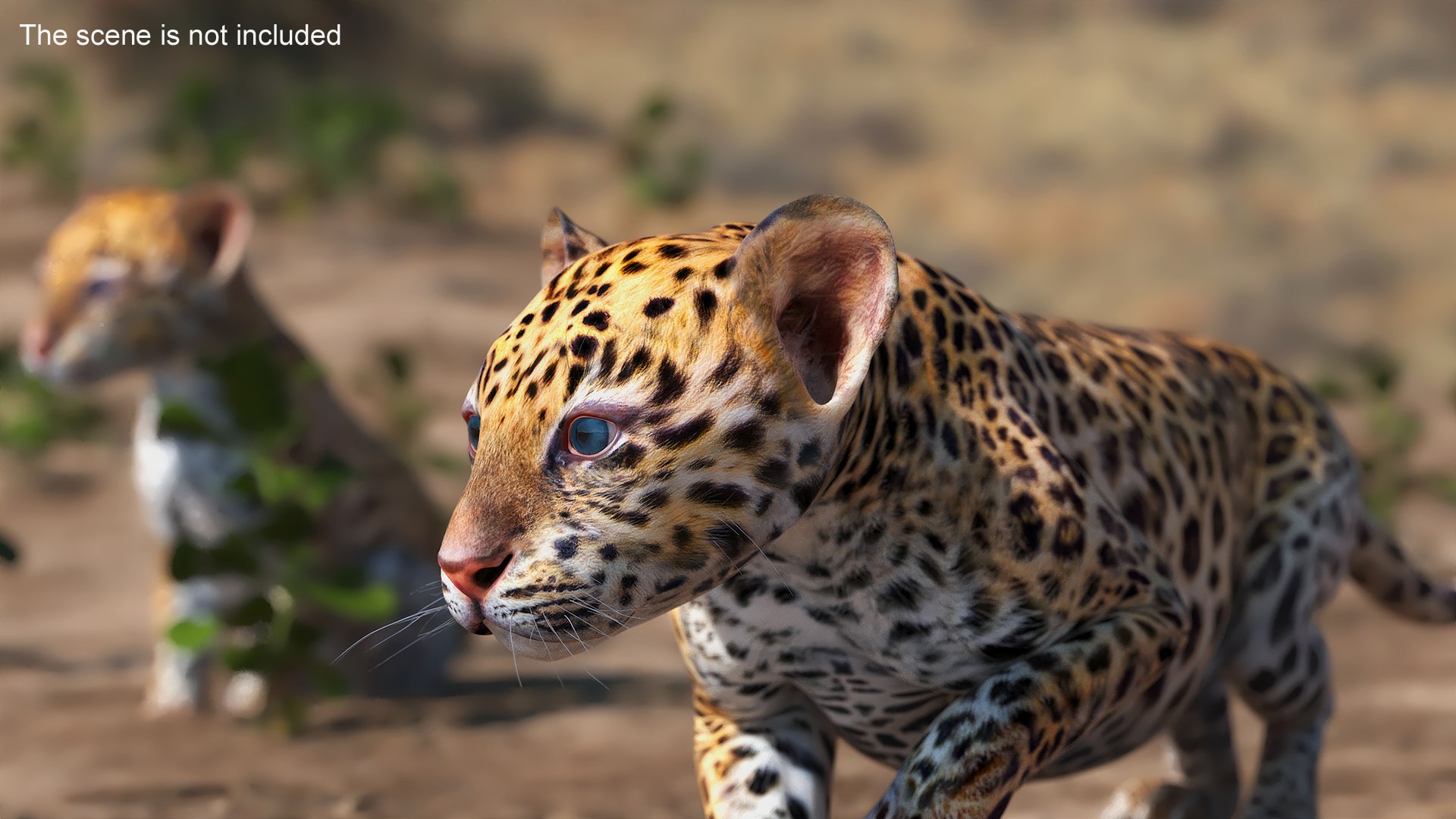 Leopard Cub Sneaking Pose 3D Model - TurboSquid 2335564