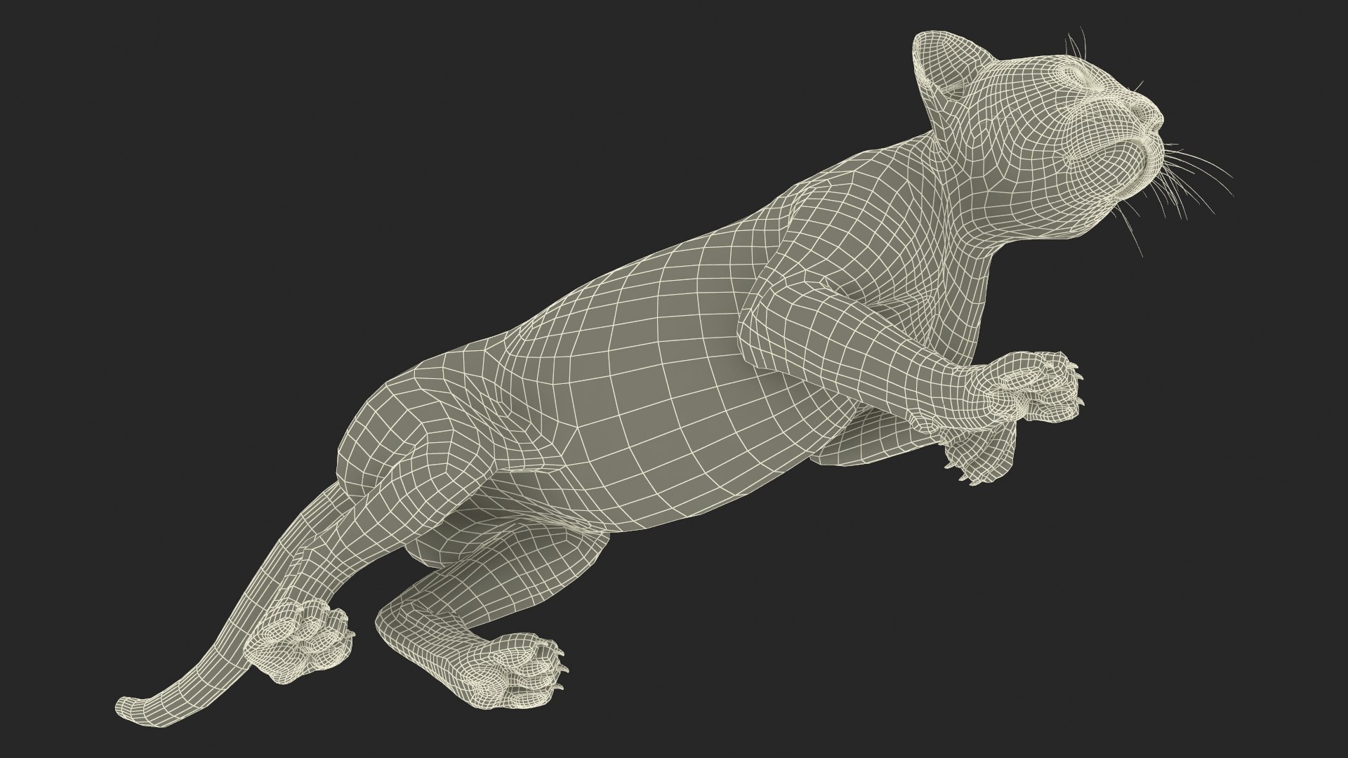Leopard Cub Sneaking Pose 3D Model - TurboSquid 2335564