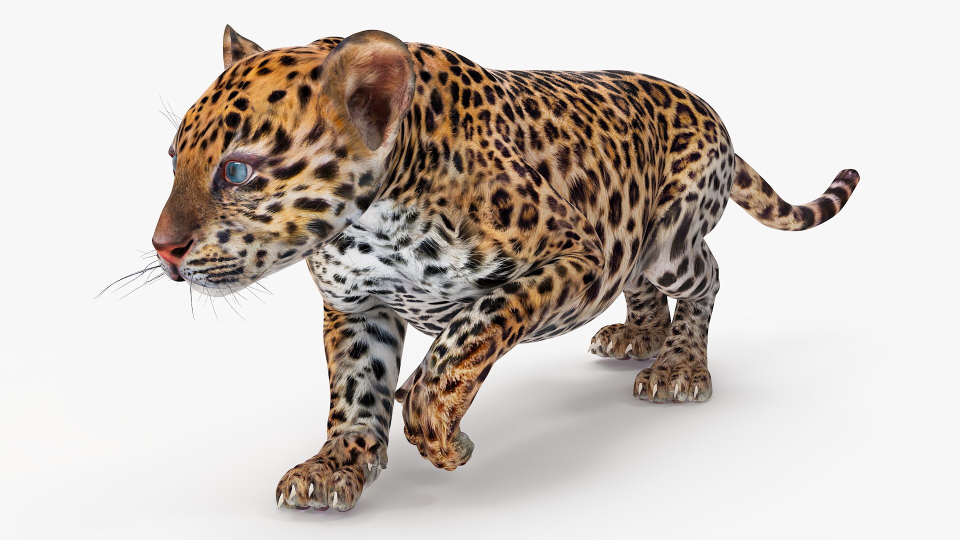 Leopard Cub Sneaking Pose 3D Model - TurboSquid 2335564