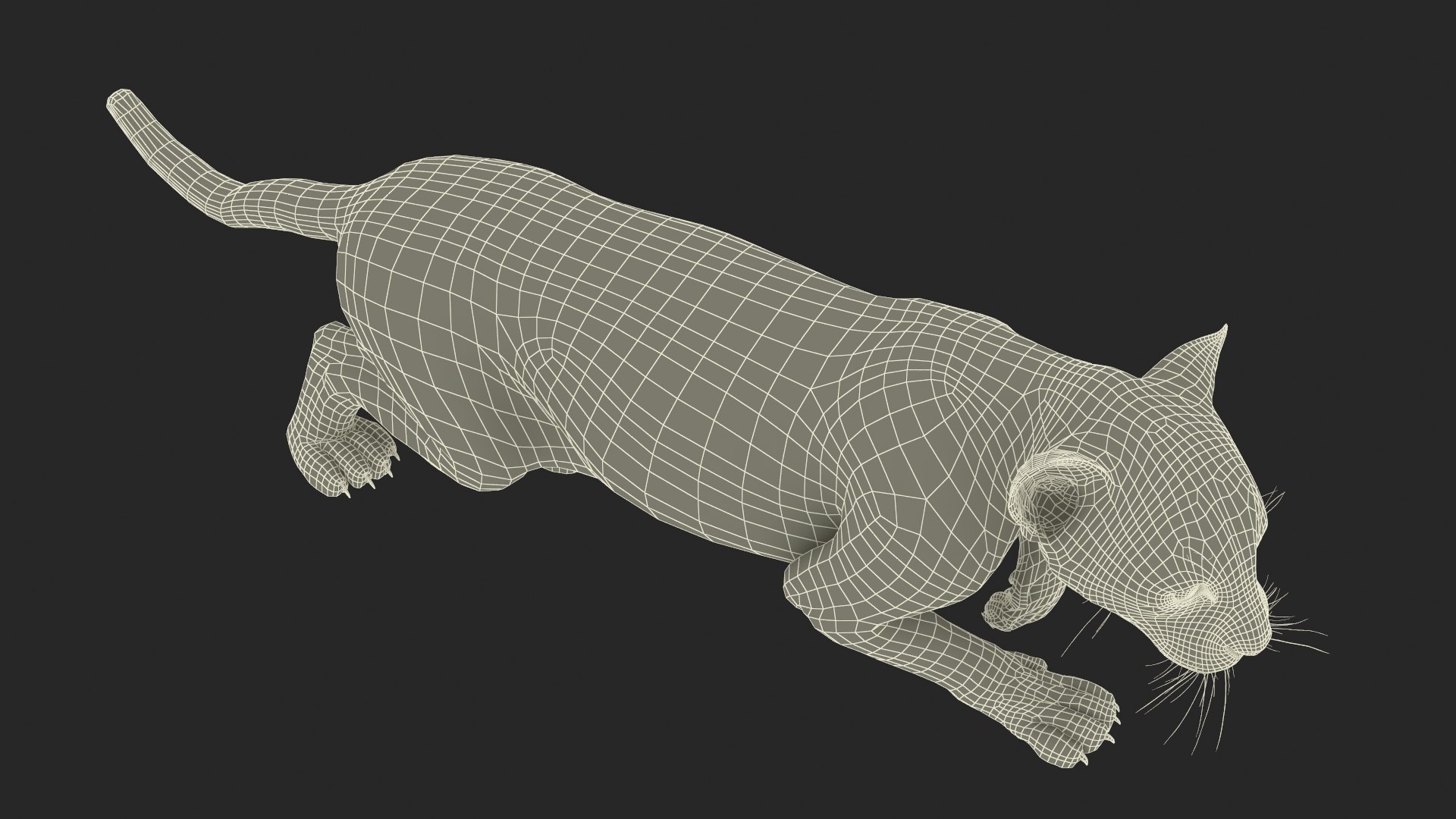 Leopard Cub Sneaking Pose 3D Model - TurboSquid 2335564