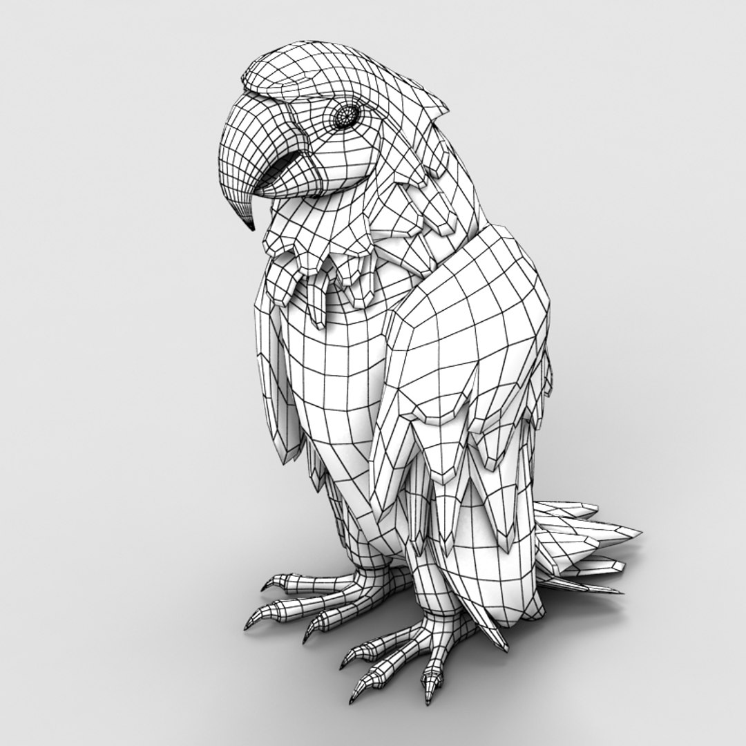3d model parrot species