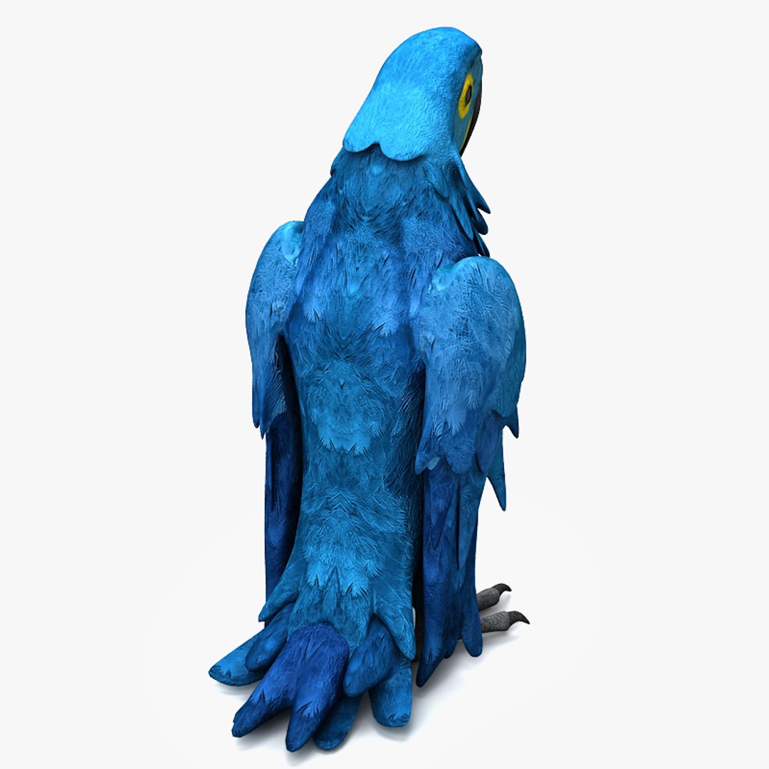 3d model parrot species