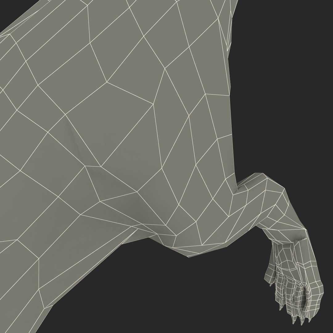 Weasel Pose 2 Fur 3d Model