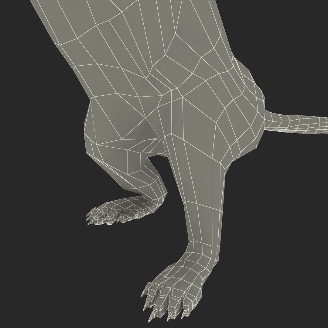 weasel pose 2 fur 3d model