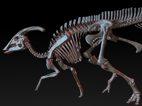 Parasaurolophus skeleton 3D 모델 - TurboSquid 1228757
