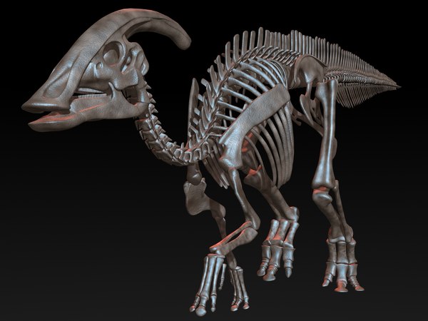 Parasaurolophus skeleton 3D 모델 - TurboSquid 1228757