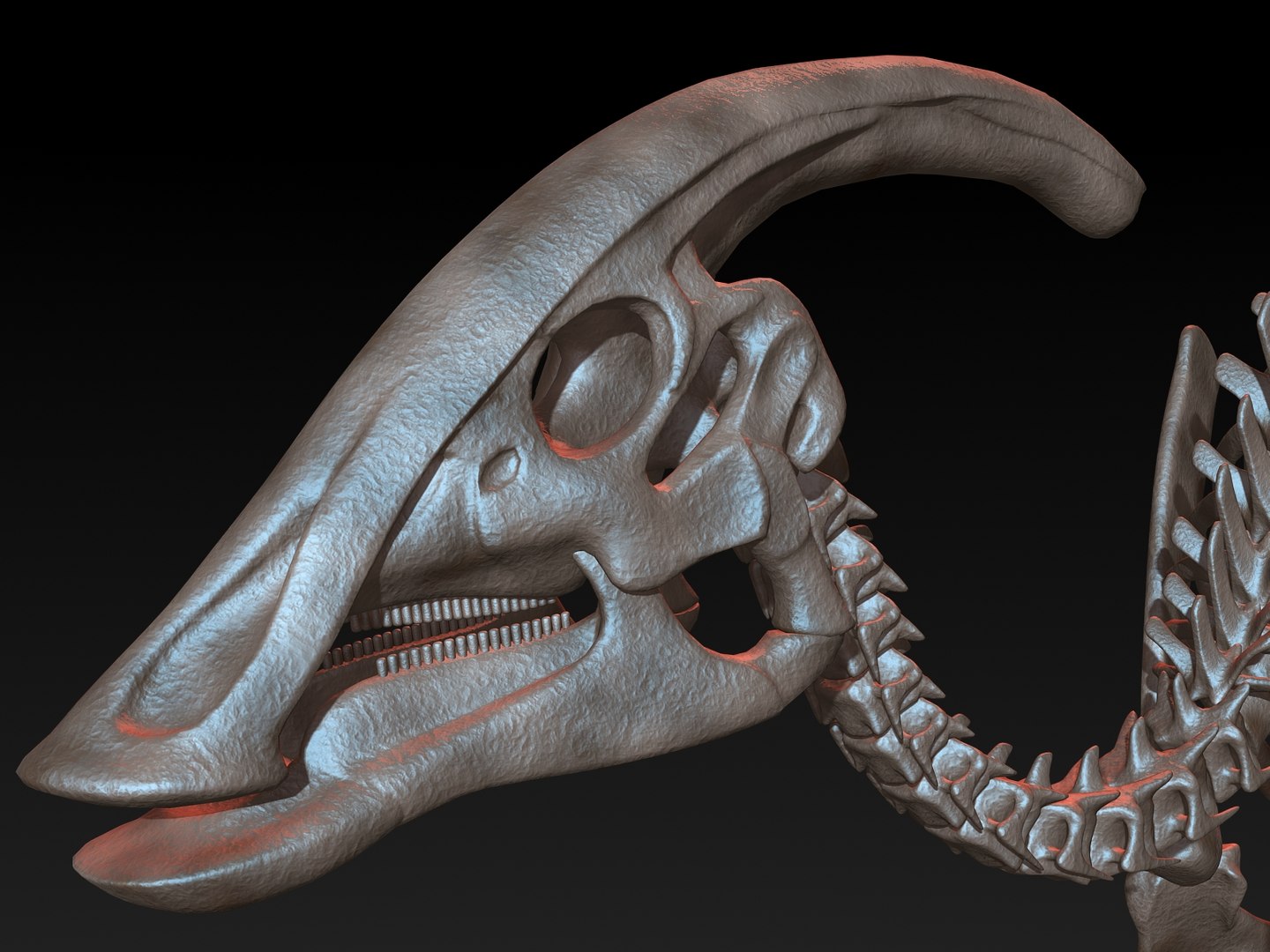 Parasaurolophus skeleton saurolophus 3D model - TurboSquid 1228757