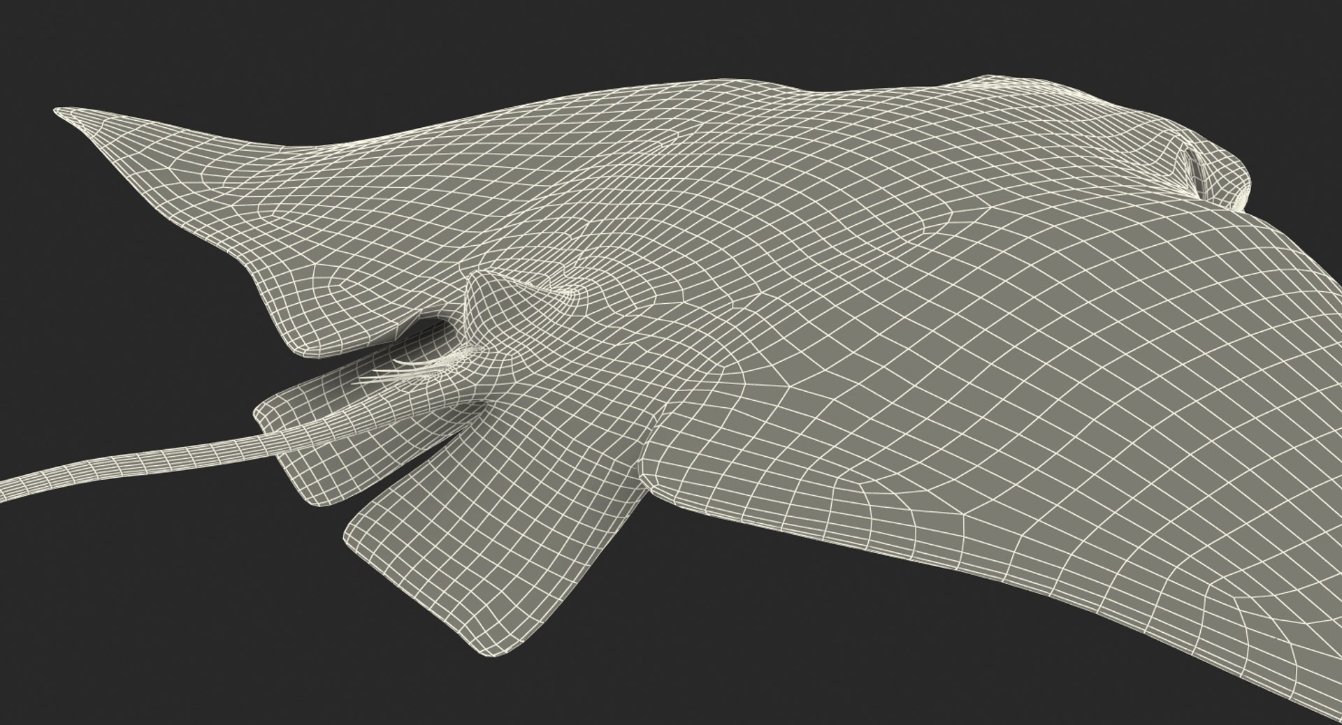 3d Eagle Rigged Model