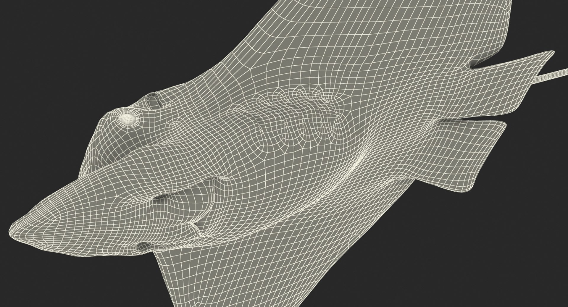 3d Eagle Rigged Model