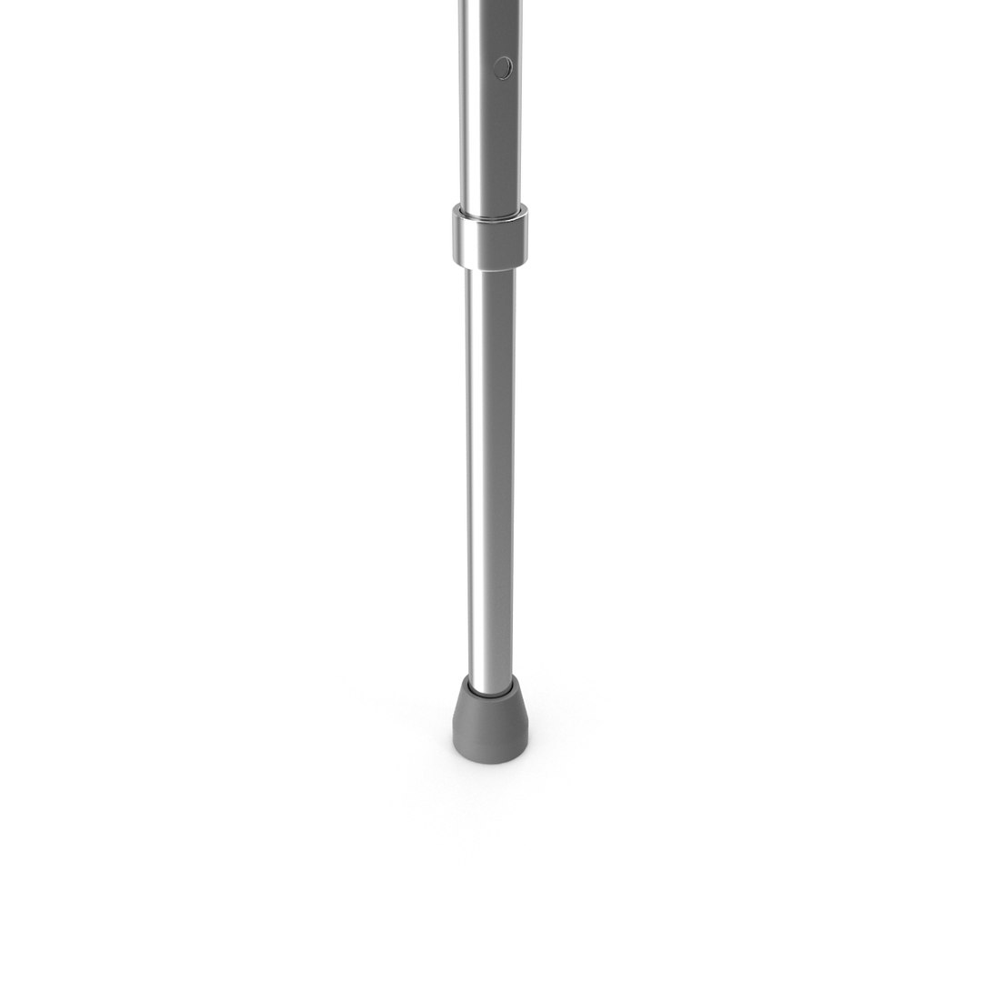 3d cane model