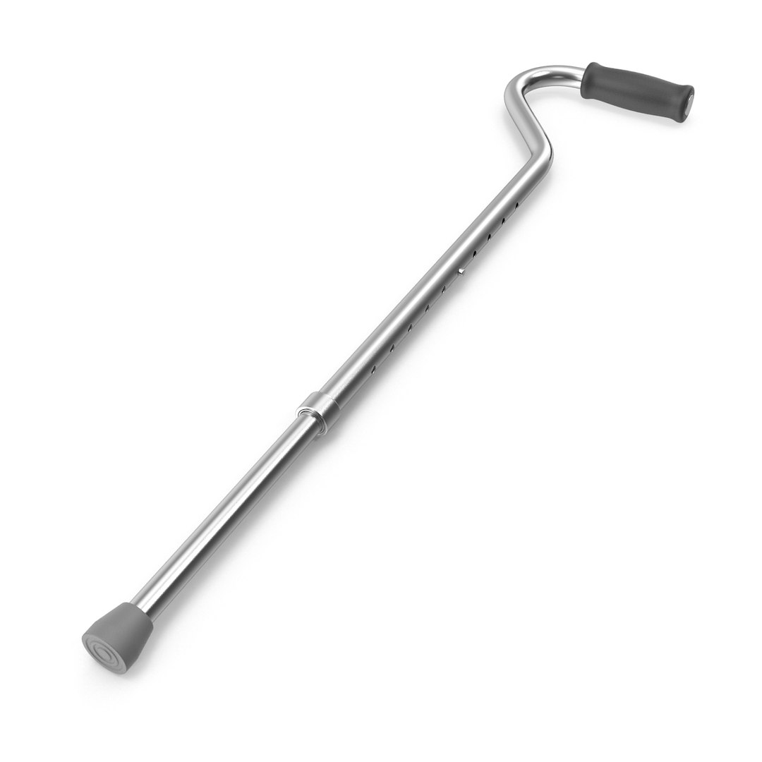 3d cane model