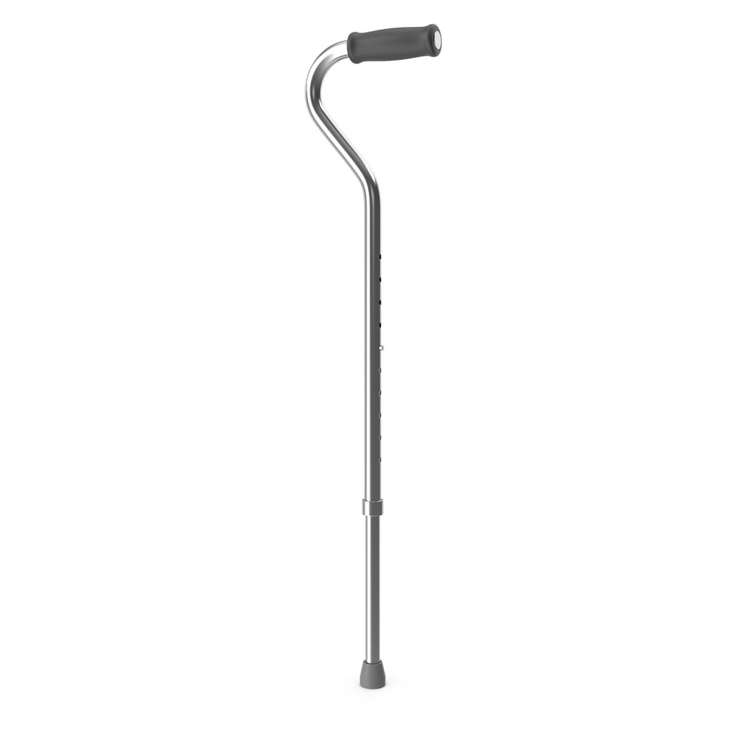 3d cane model
