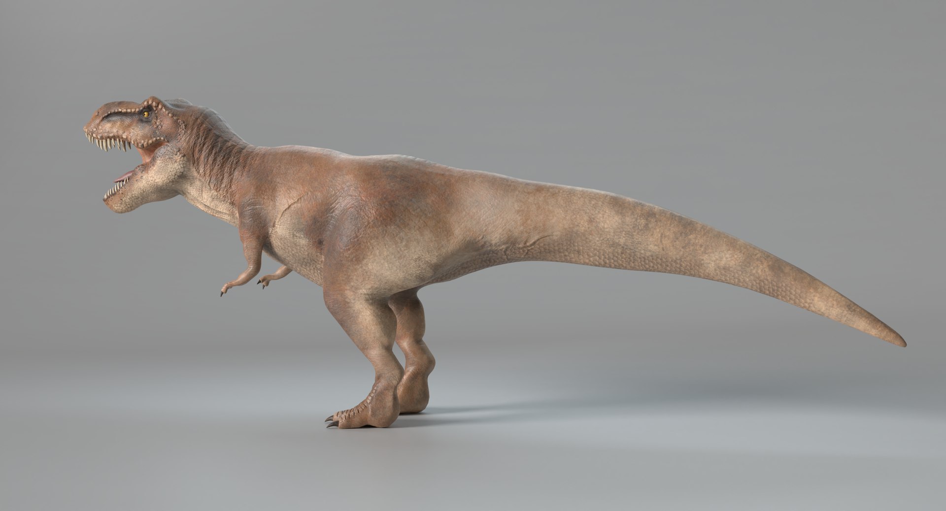 Tyrannosaurus Rex Model - TurboSquid 1284843