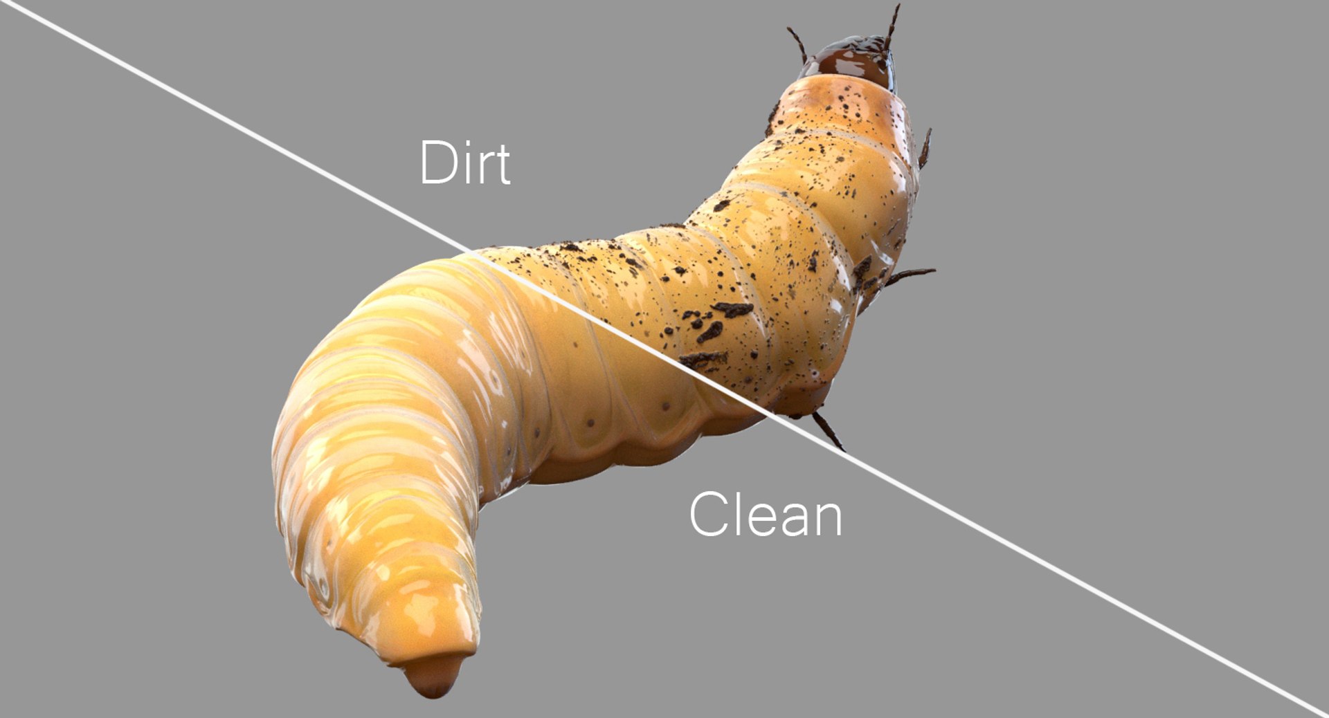 3D realistic maggot rig model - TurboSquid 1509209