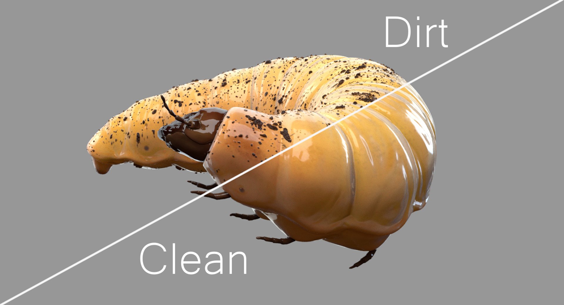 3D realistic maggot rig model - TurboSquid 1509209