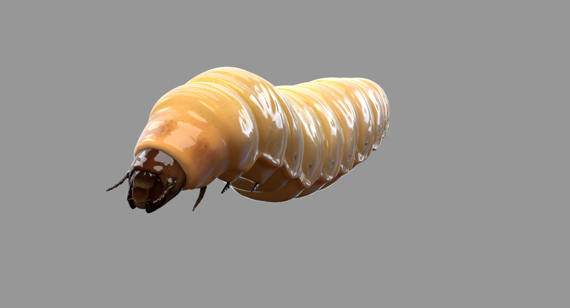 3D realistic maggot rig model - TurboSquid 1509209