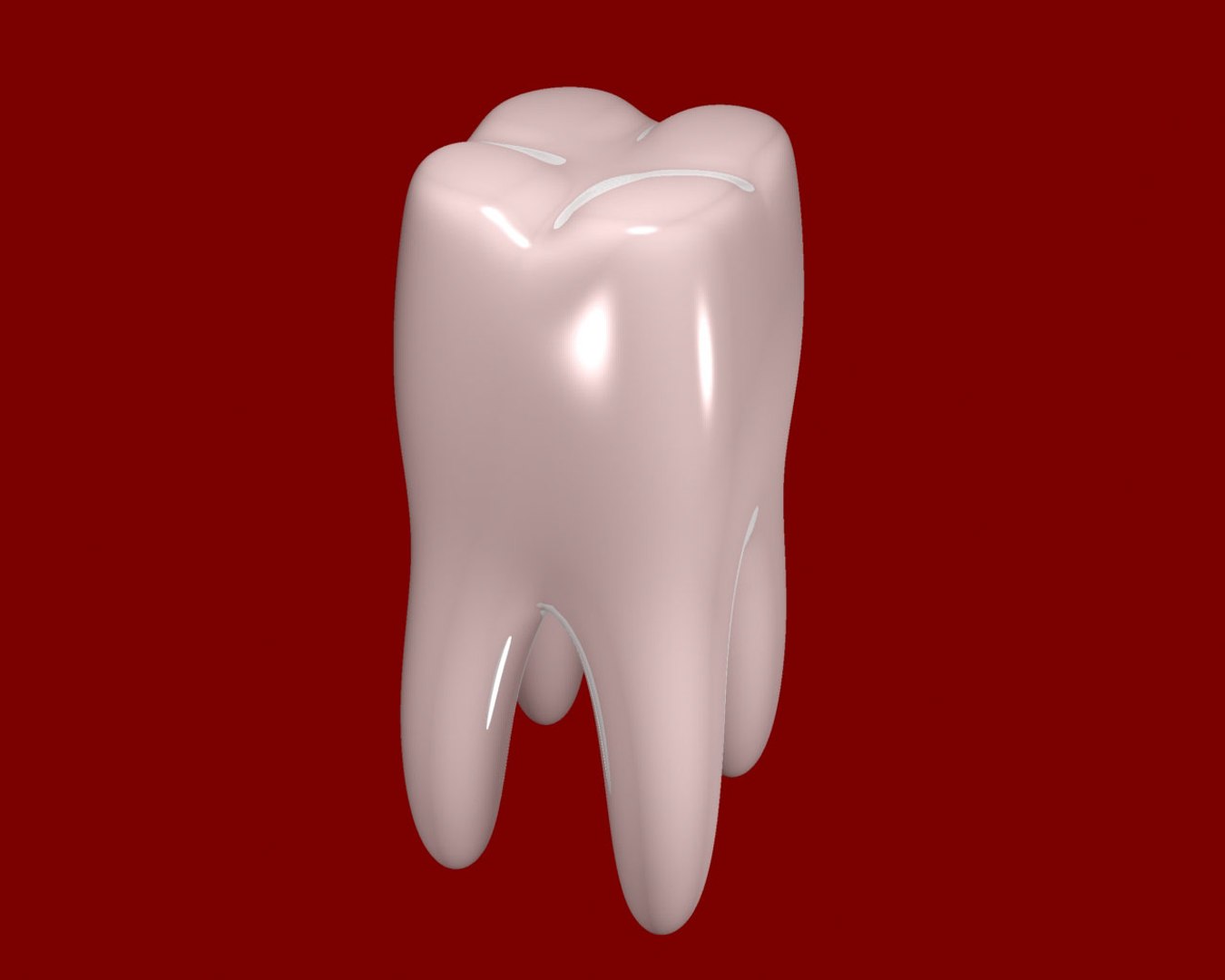 Human Tooth 3d Model