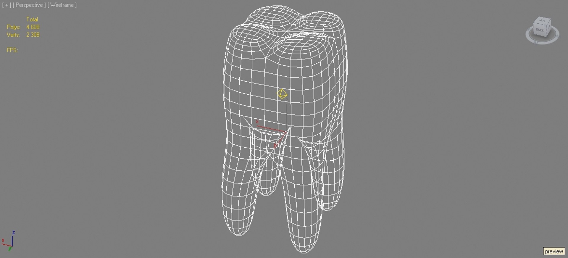 Human Tooth 3d Model
