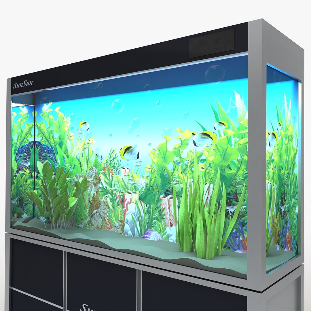 3d model of aquarium