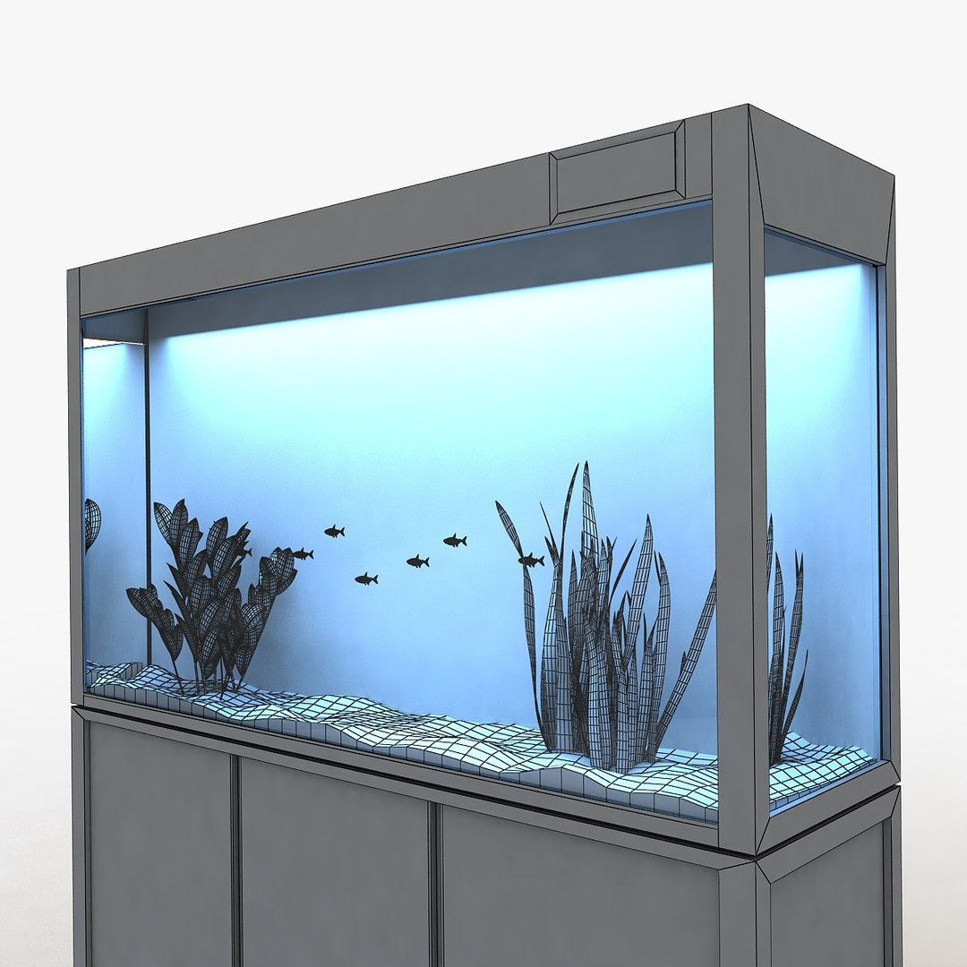 3d model of aquarium