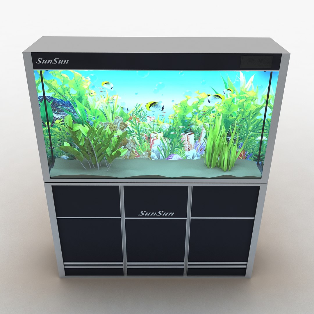 3d model of aquarium