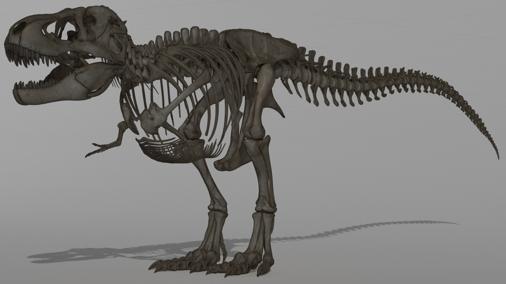 Tyrannosaurus Rex Fossil 3D Model - TurboSquid 1890791