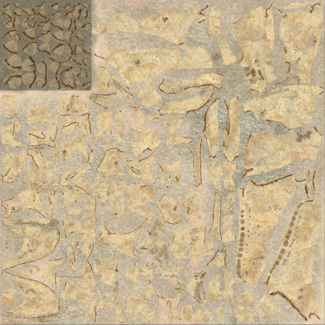 Tyrannosaurus Rex Fossil 3D Model - TurboSquid 1890791