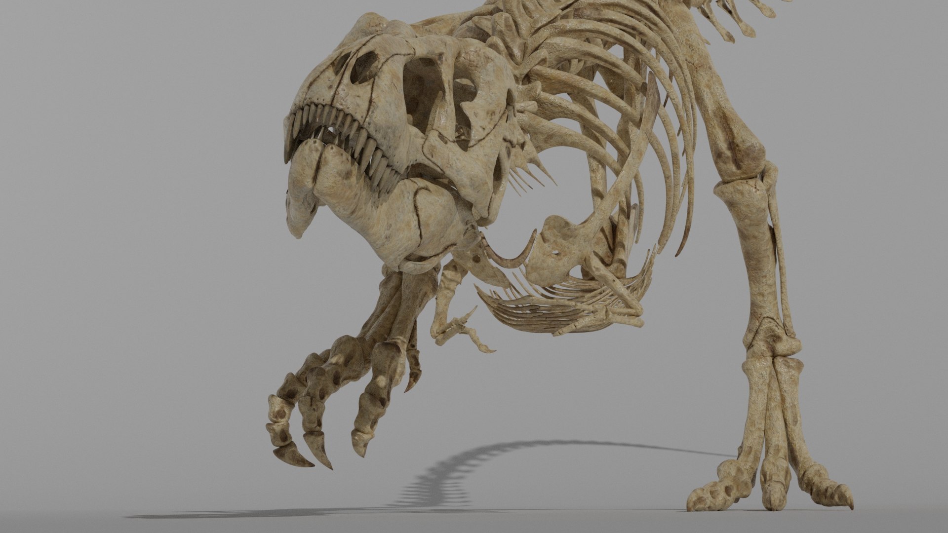 Tyrannosaurus Rex Fossil 3D Model - TurboSquid 1890791