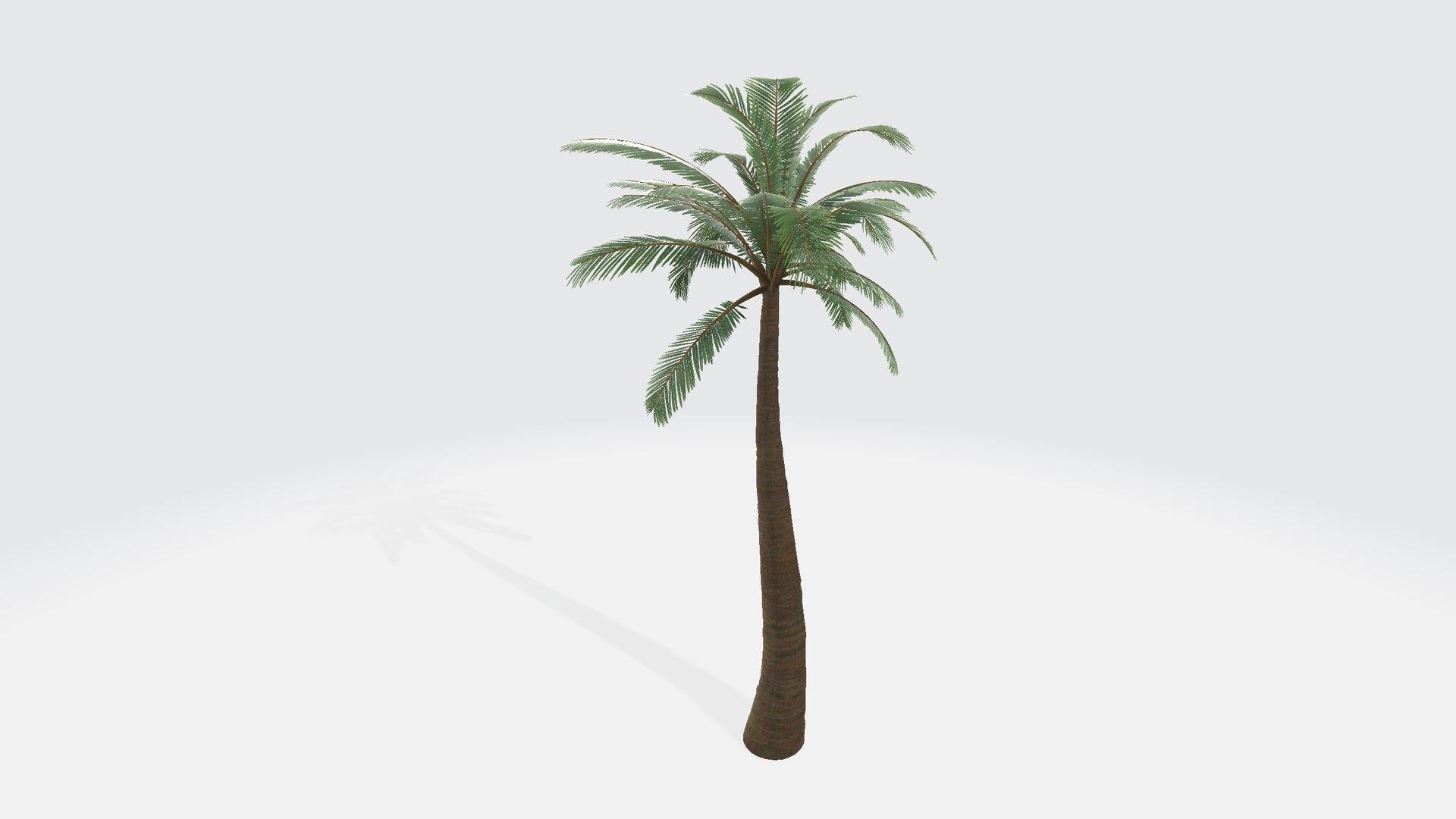 3D Palm Tree - TurboSquid 2330408