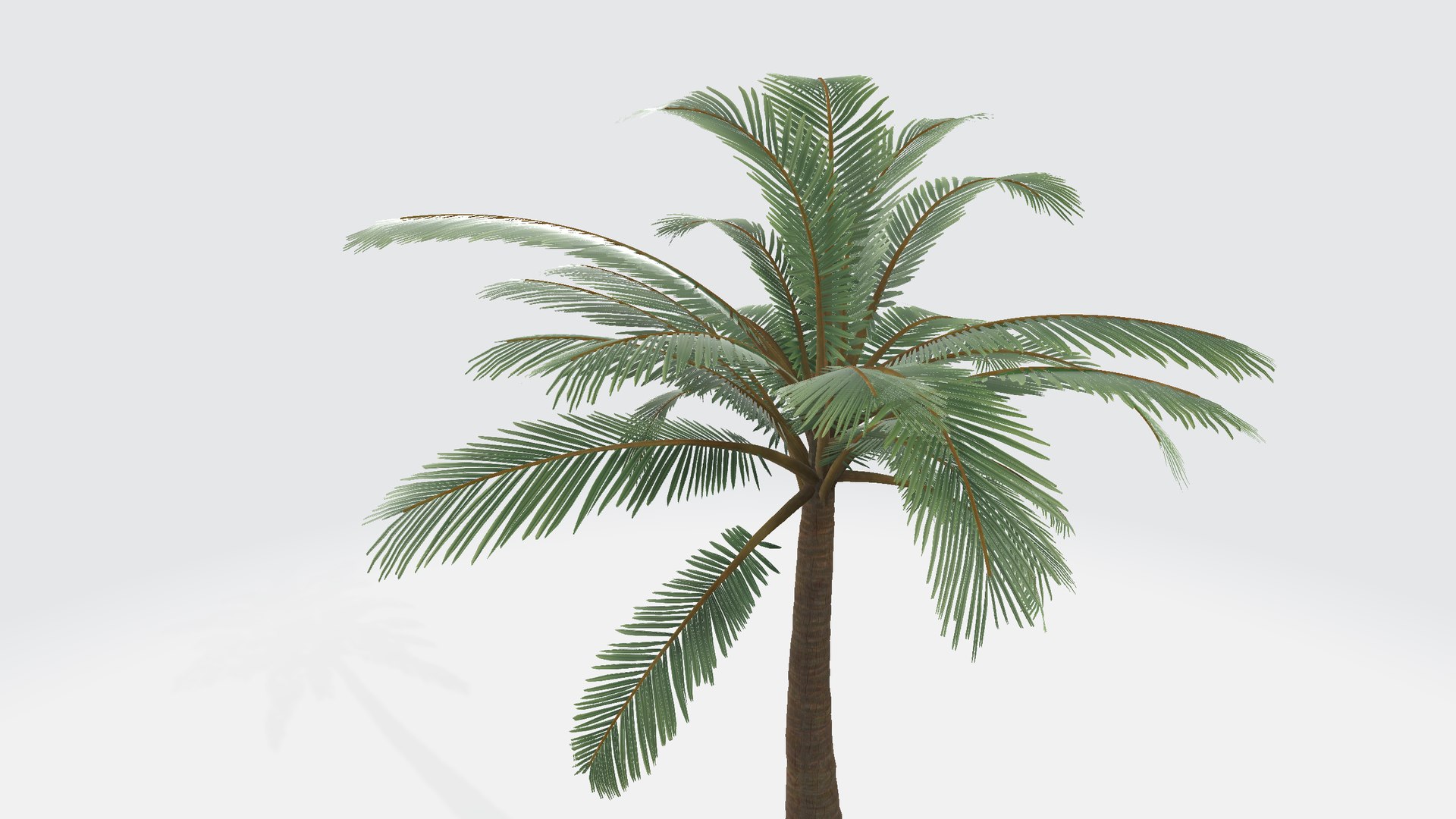 3D Palm Tree - TurboSquid 2330408