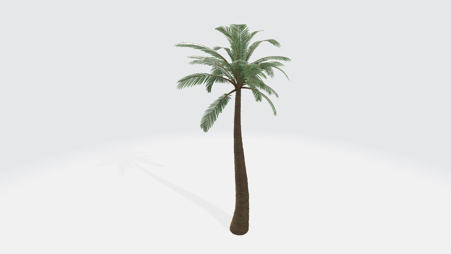 3D Palm Tree - TurboSquid 2330408