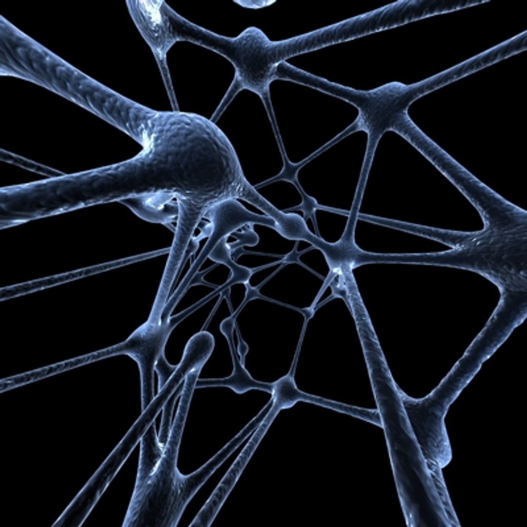 3ds Max Neuronal Net