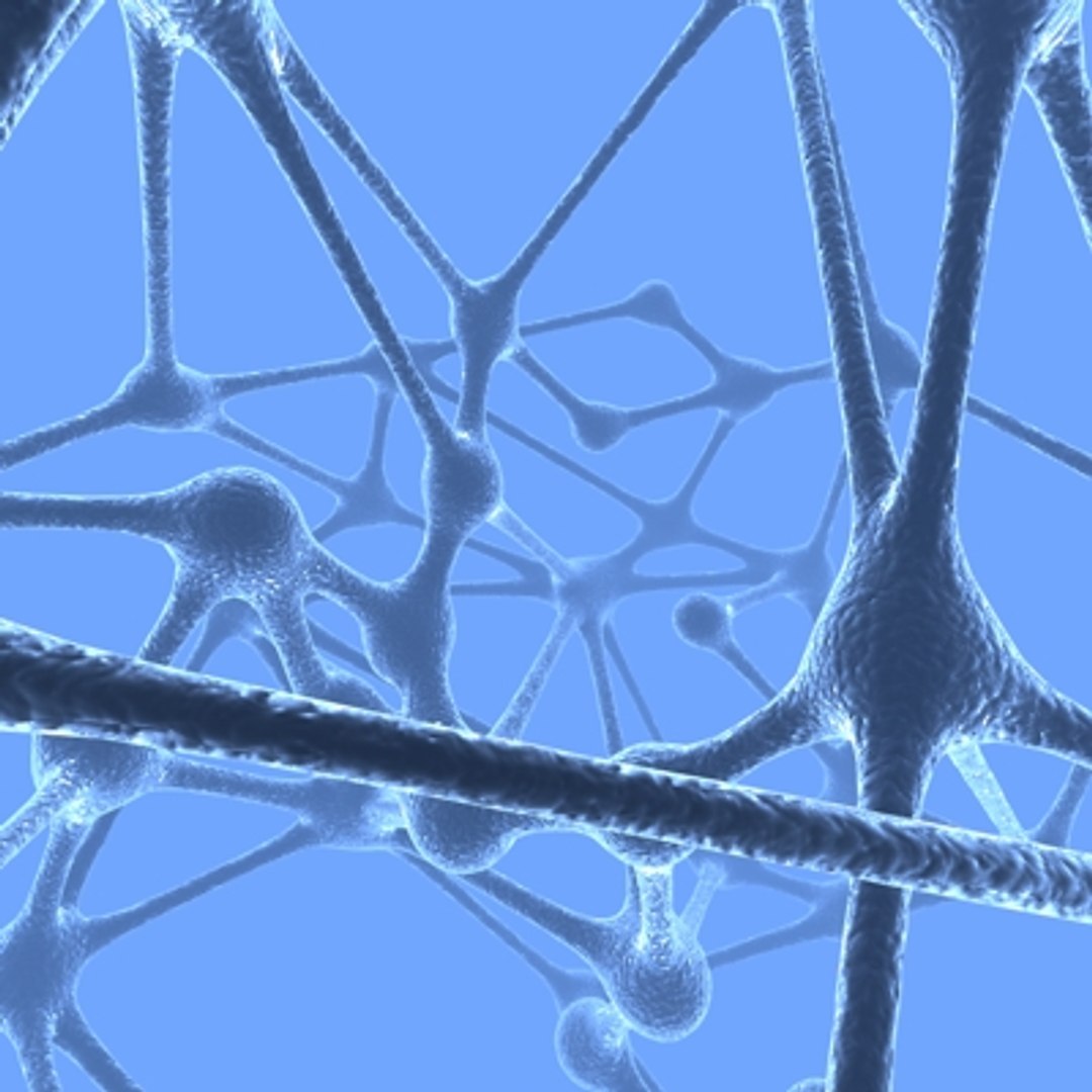 3ds Max Neuronal Net