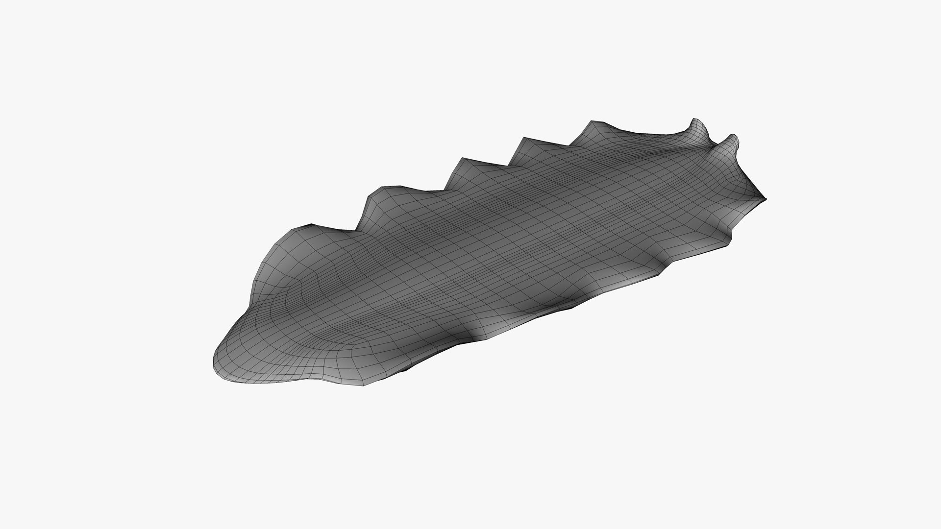 3D Fuchsia Flatworm - Pseudoceros ferrugineus - TurboSquid 1856226