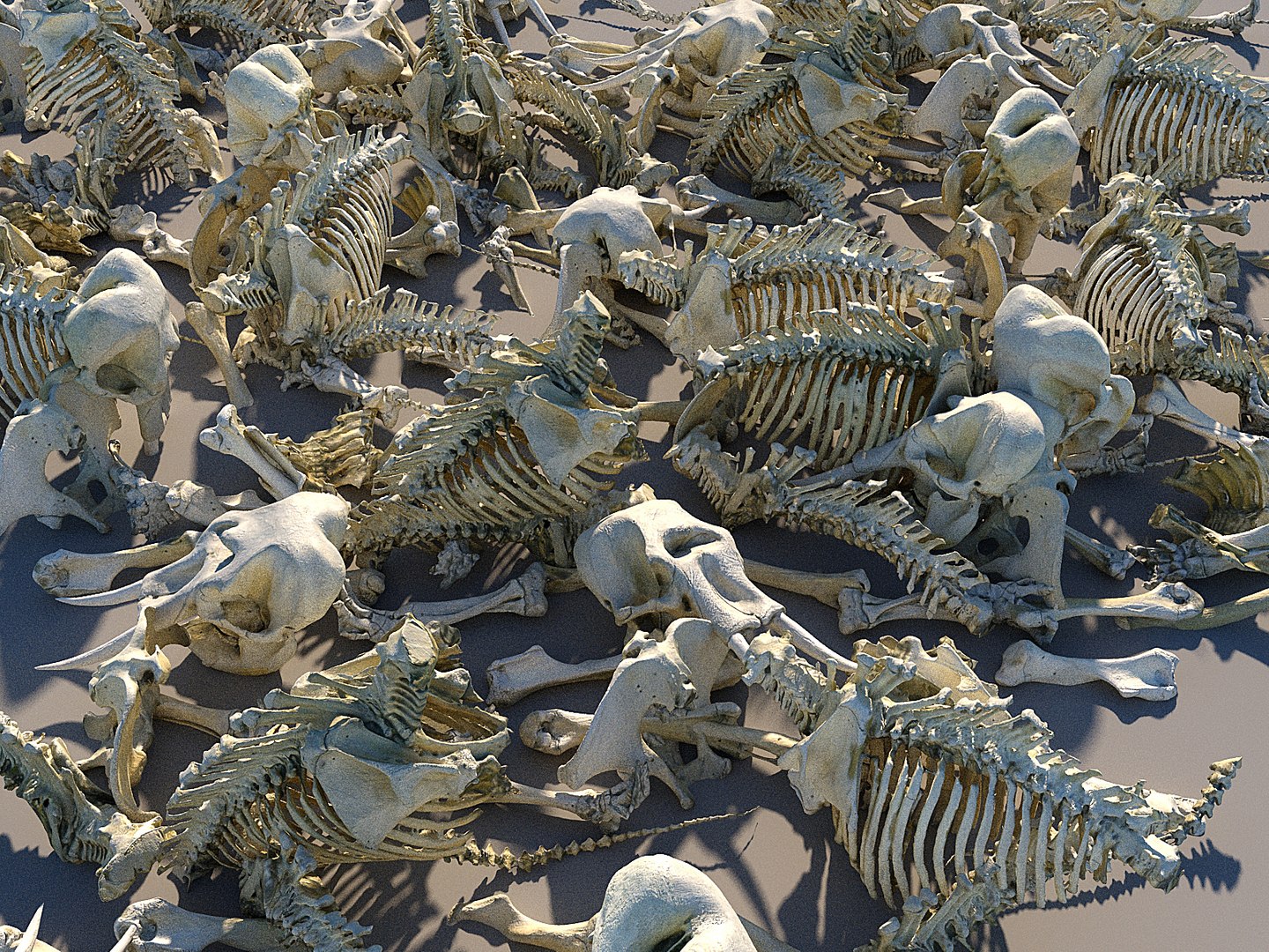Real Bones Pack 3D Model - TurboSquid 1571890
