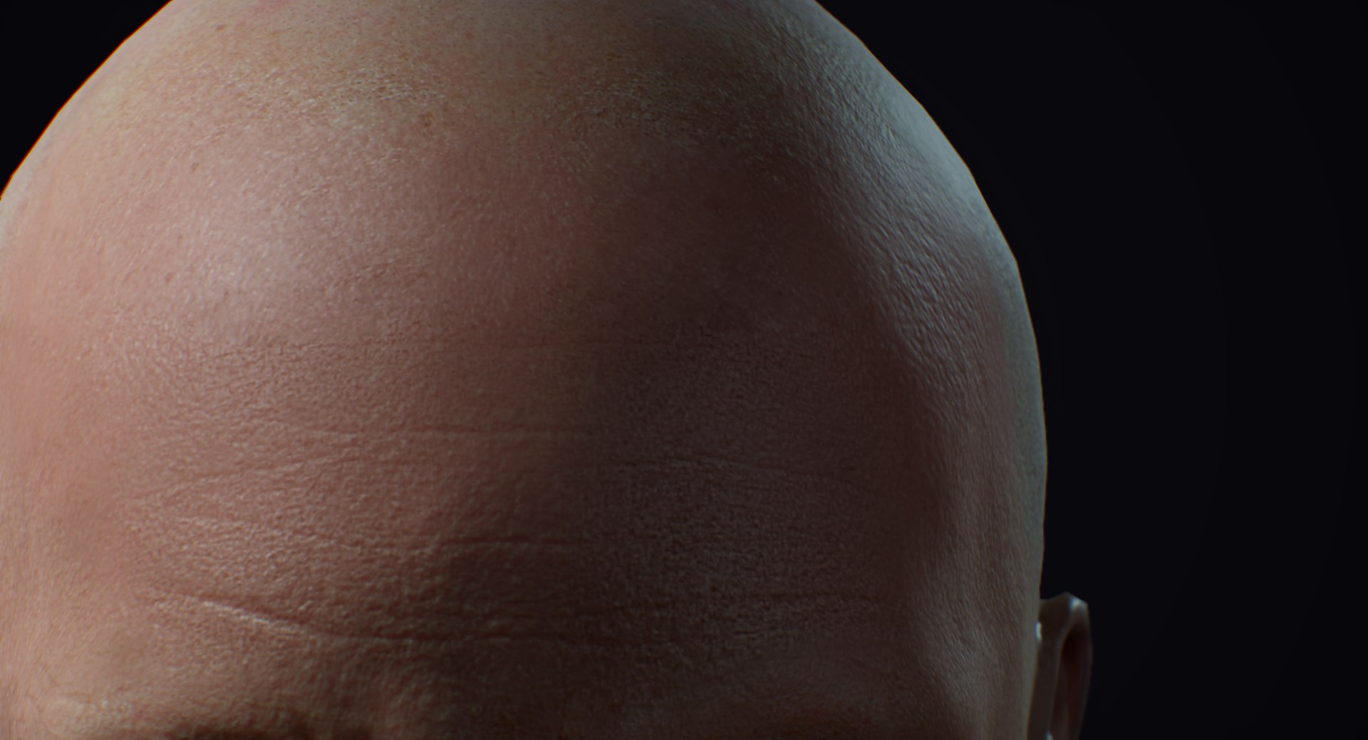 3D Model Marmoset Rendered - TurboSquid 1421117