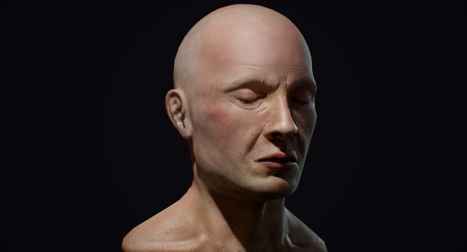3D Model Marmoset Rendered - TurboSquid 1421117