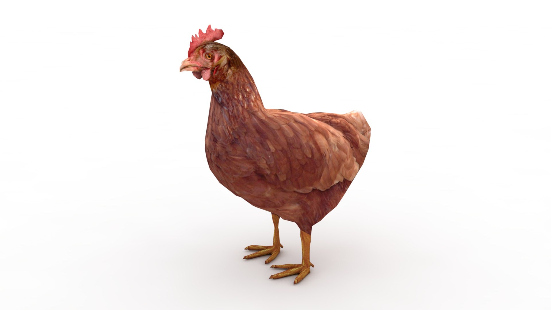 Chicken 3D Model - TurboSquid 2237369