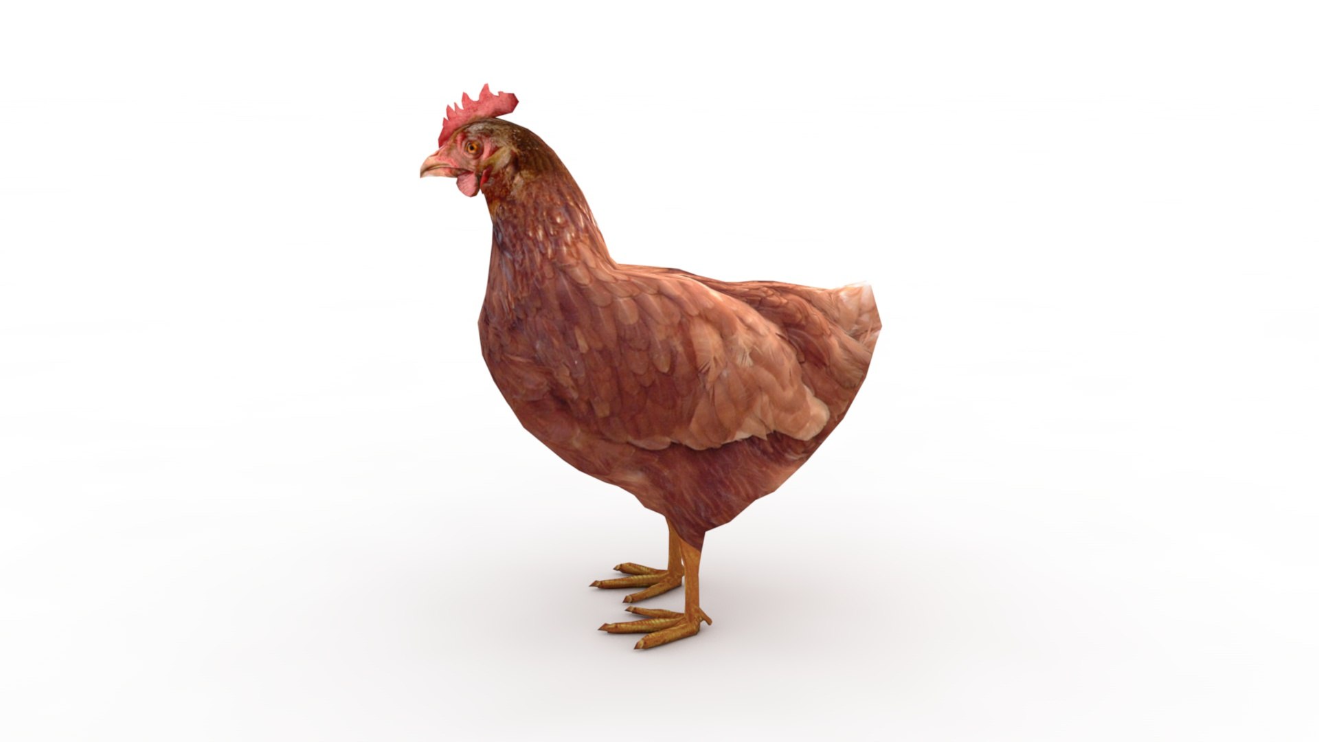 Chicken 3D Model - TurboSquid 2237369