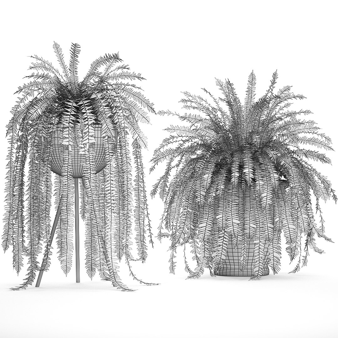 Decorative white pot fern 3D model - TurboSquid 1546313