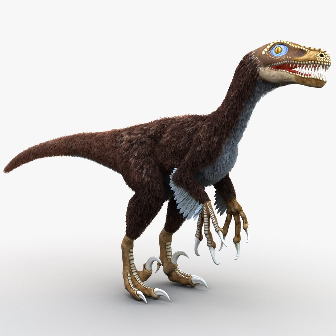 3d Dromaeosaurus Model