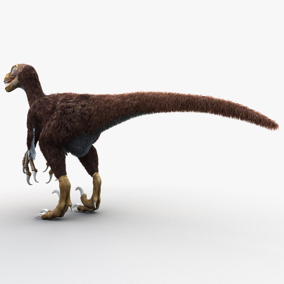 3d Dromaeosaurus Model